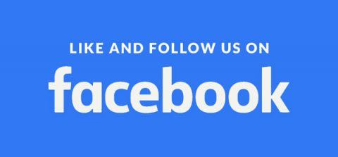 Lake Blue Ridge Marina - Boat Dock Bar & Grill